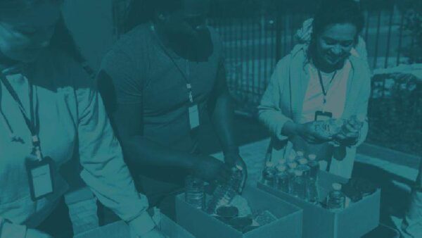Impact – AICS Consult
